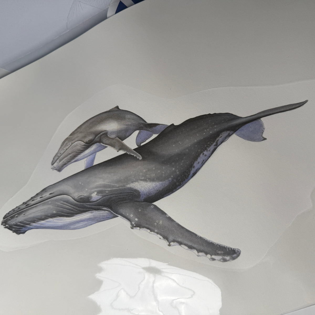 Humpback Whale – Stick Figure Fish Illustration