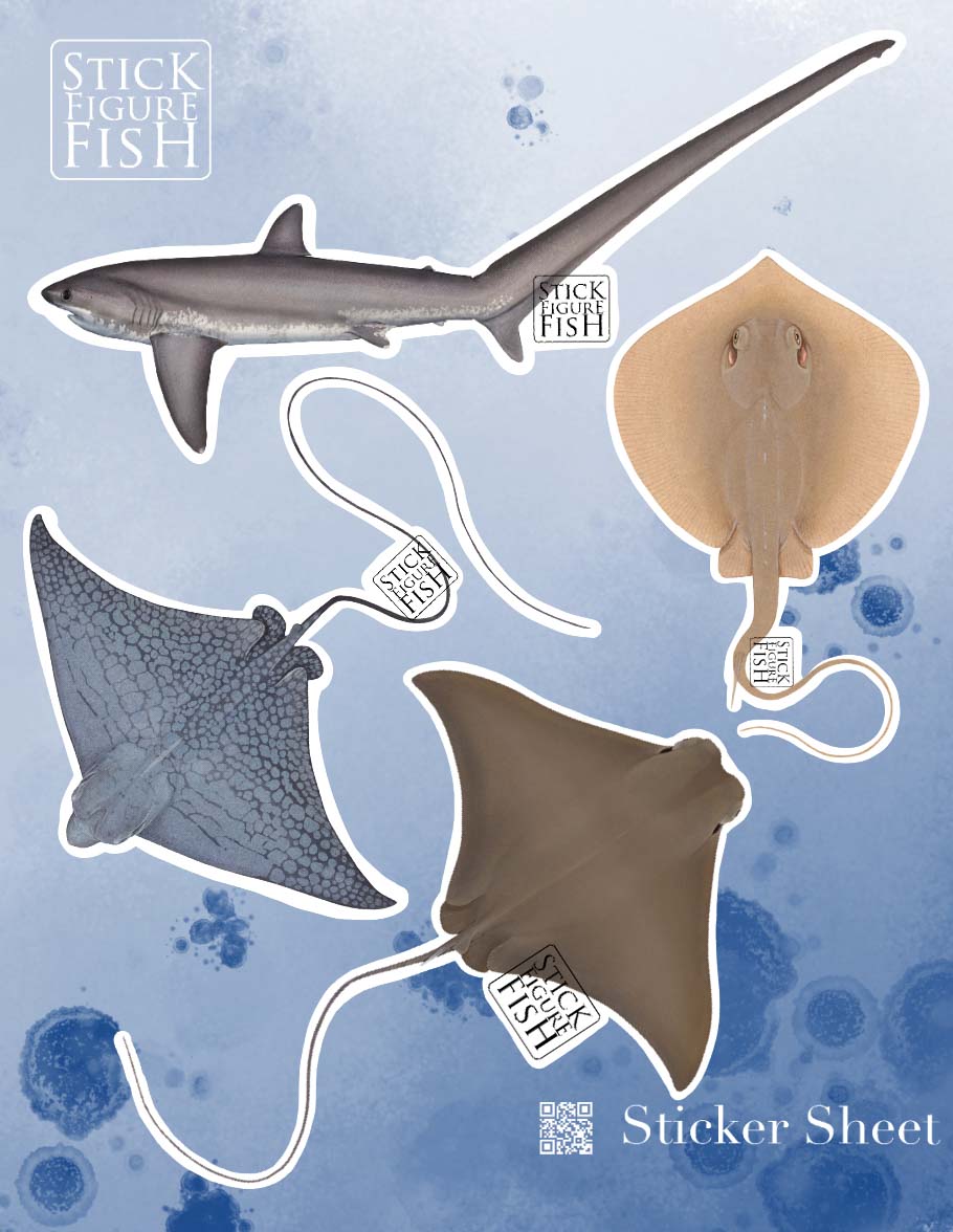 Stickers – Stick Figure Fish Illustration