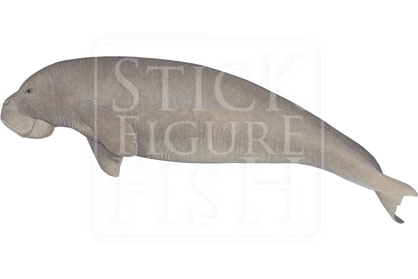 Stick Figure Fish Ilustration – Stick Figure Fish Illustration