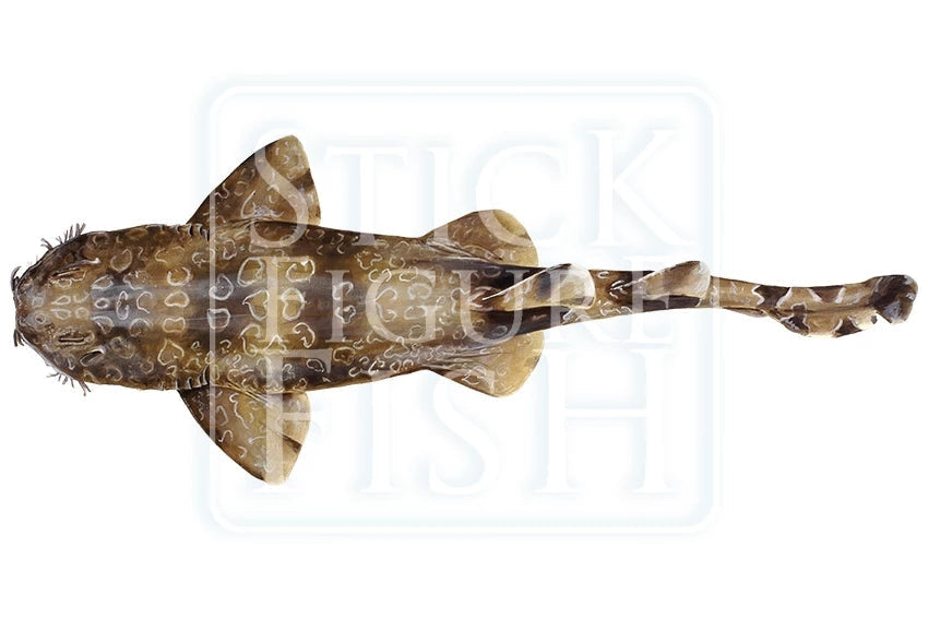 Stick Figure Fish Ilustration – Stick Figure Fish Illustration
