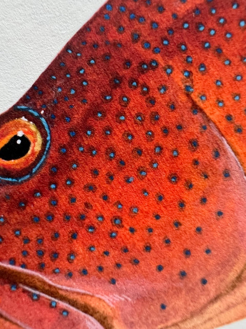 Stick Figure Fish Ilustration – Stick Figure Fish Illustration