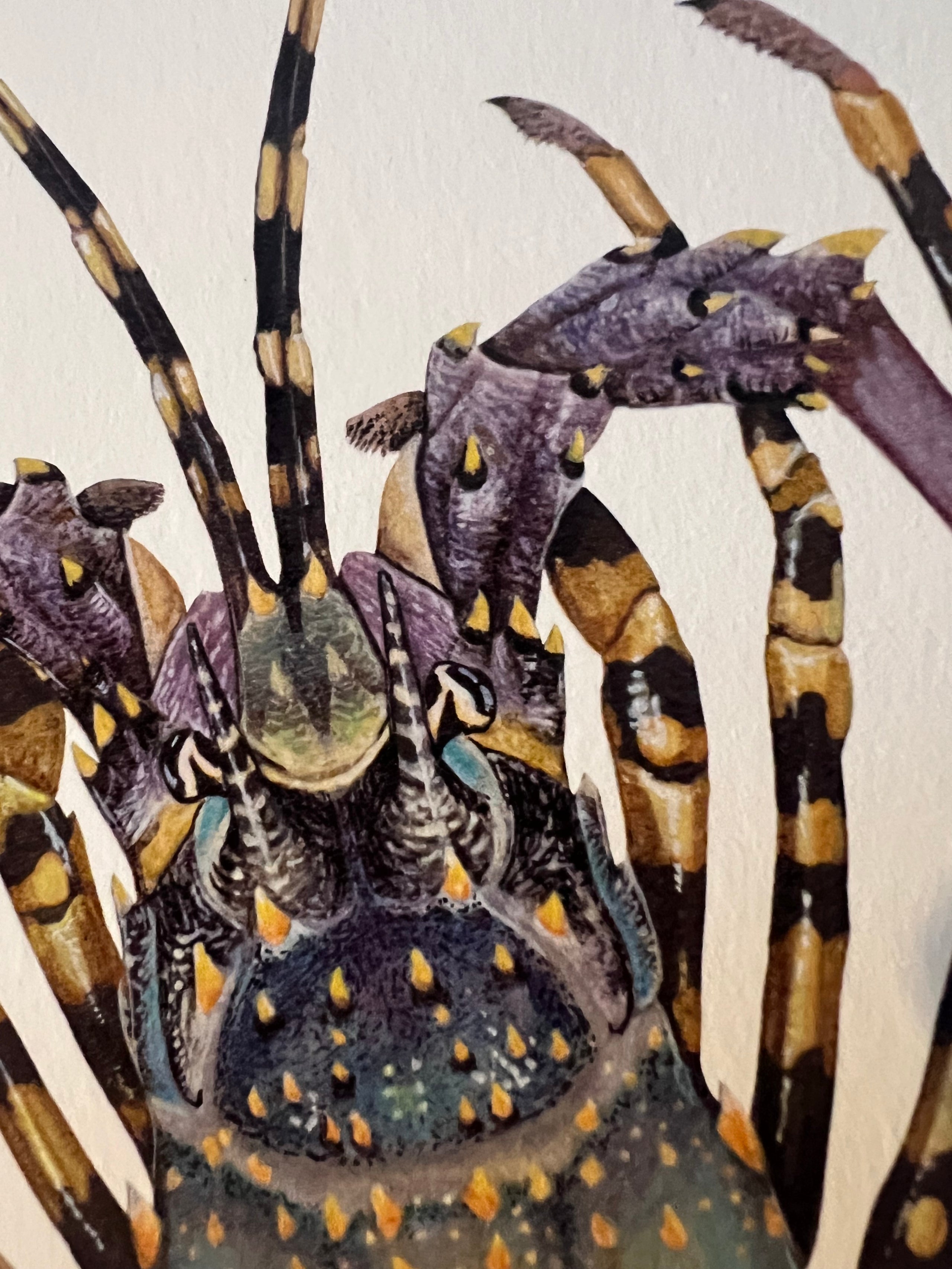 Stick Figure Fish Ilustration – Stick Figure Fish Illustration