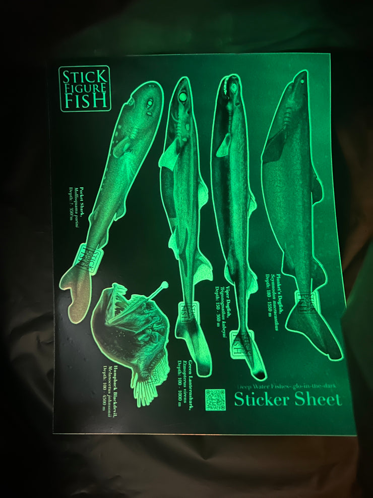 Stick Figure Fish Ilustration – Stick Figure Fish Illustration