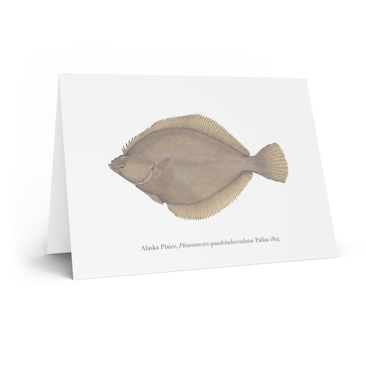 Alaska Plaice - Greeting Card – Stick Figure Fish Illustration