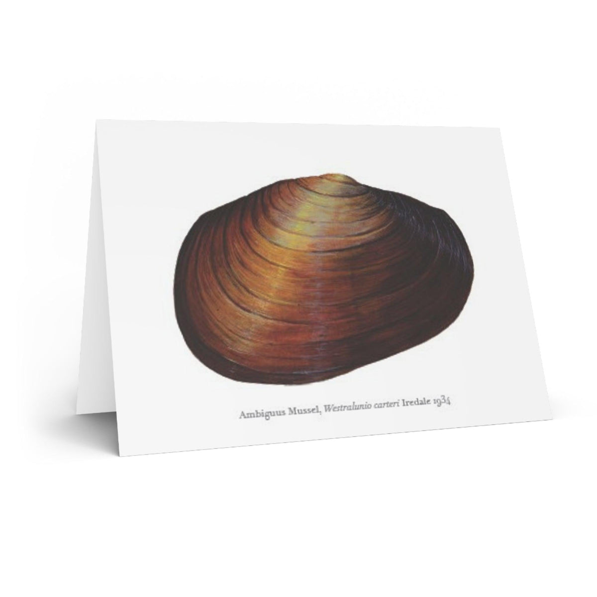 Carter's Freshwater Mussel Greeting Card – Stick Figure Fish Illustration