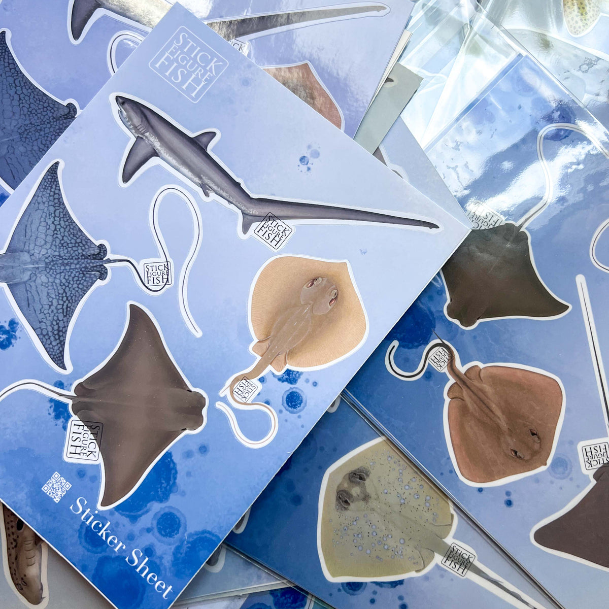 Choose Your Species - Shark and Ray Sticker Sheet – Stick Figure Fish ...