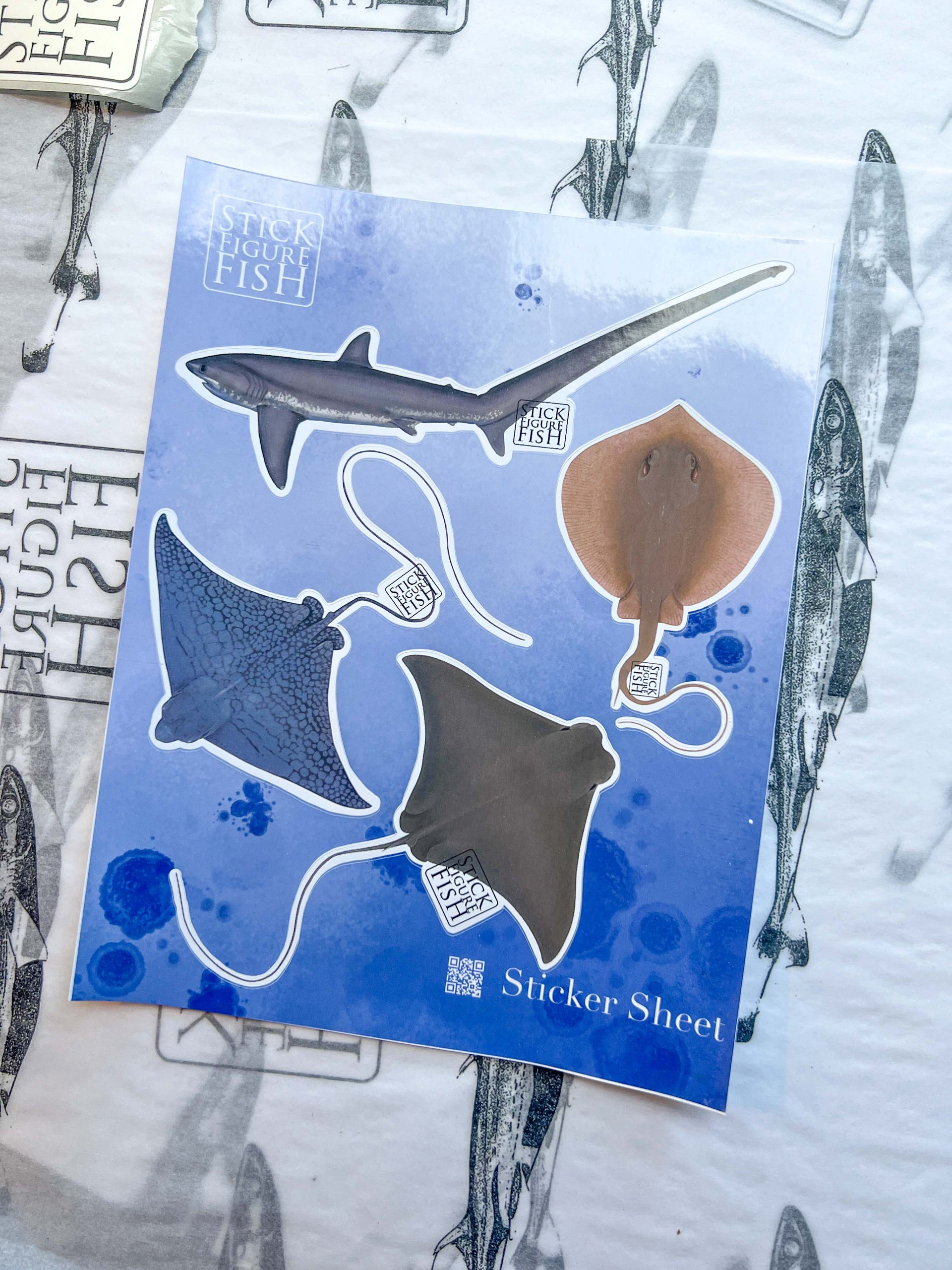 Choose Your Species - Shark and Ray Sticker Sheet – Stick Figure Fish ...