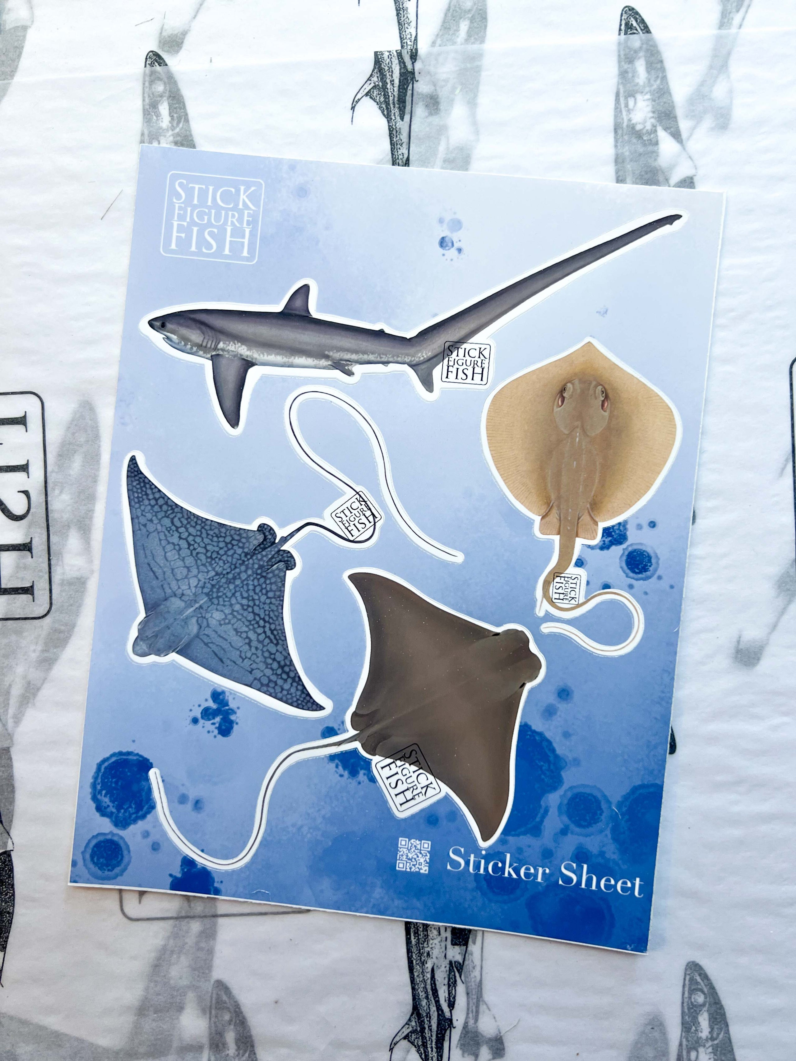 Choose Your Species - Shark and Ray Sticker Sheet – Stick Figure Fish ...