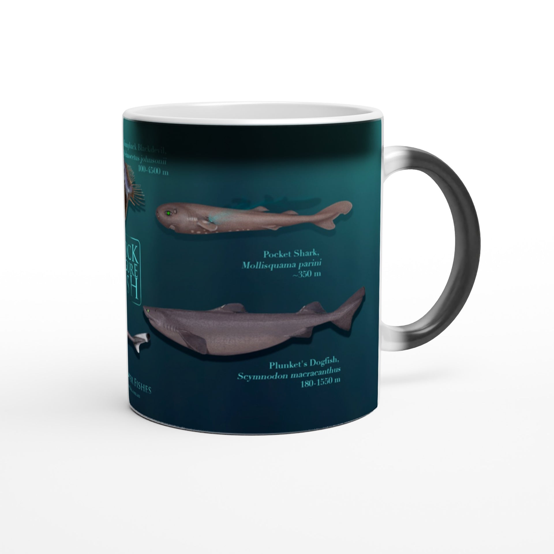 Stick Figure Fish Ilustration – Stick Figure Fish Illustration