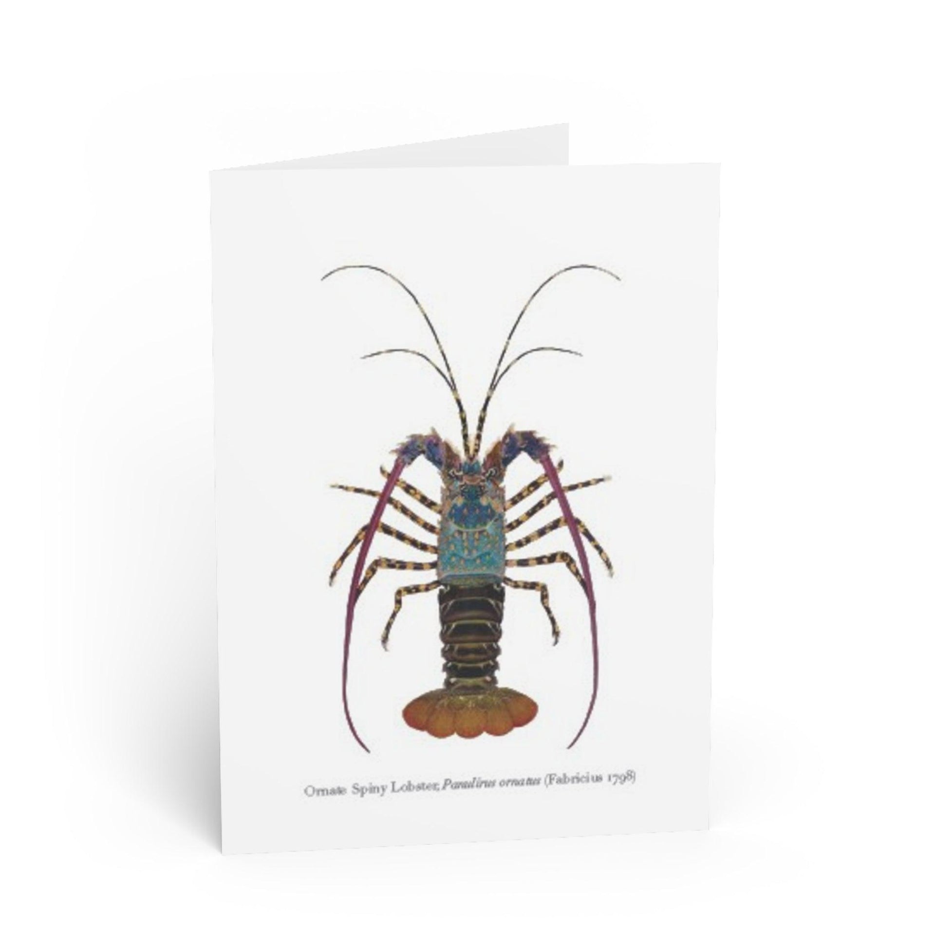 Ornate Spiny Lobster (version 2) Greeting Card – Stick Figure Fish ...