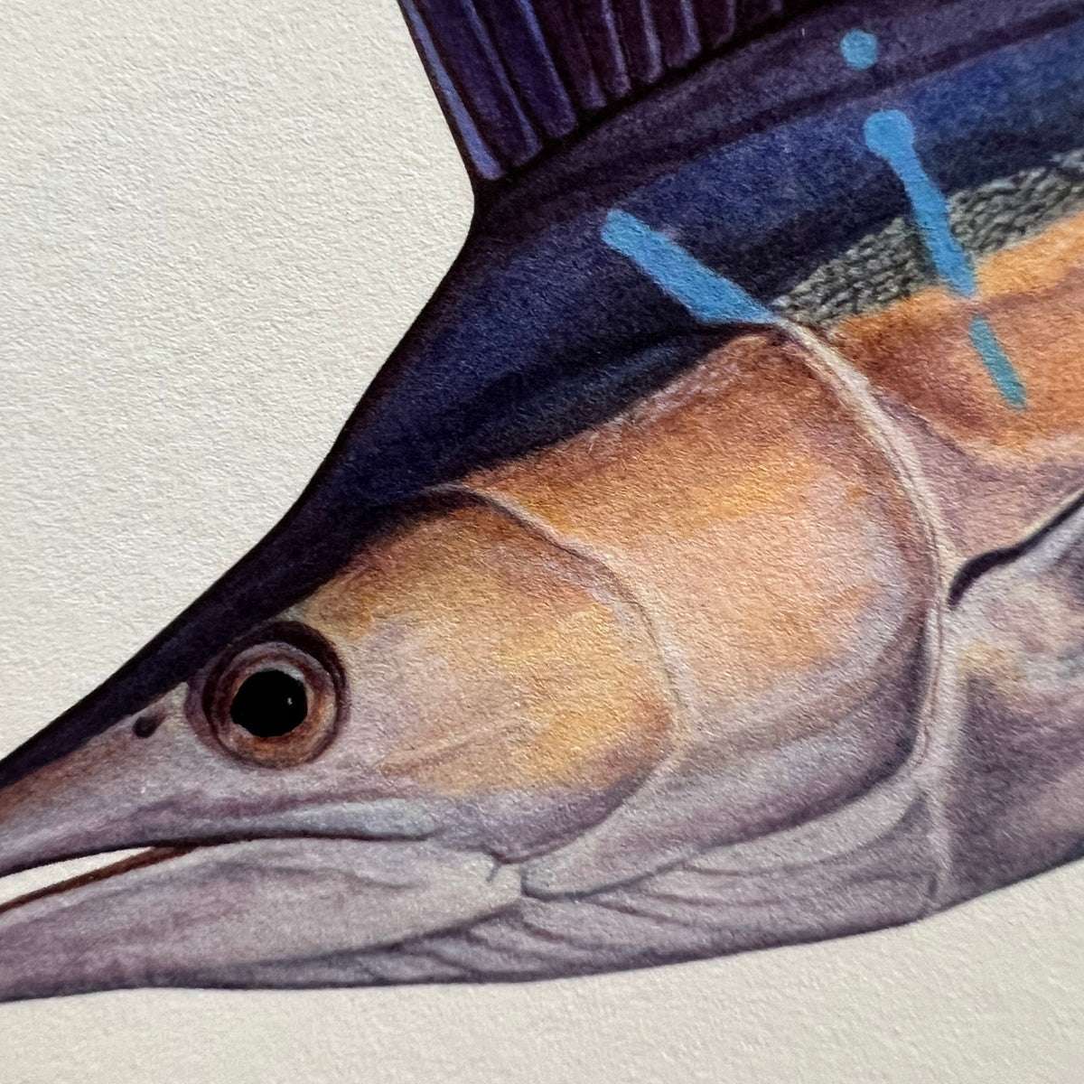 Stick Figure Fish Ilustration – Stick Figure Fish Illustration