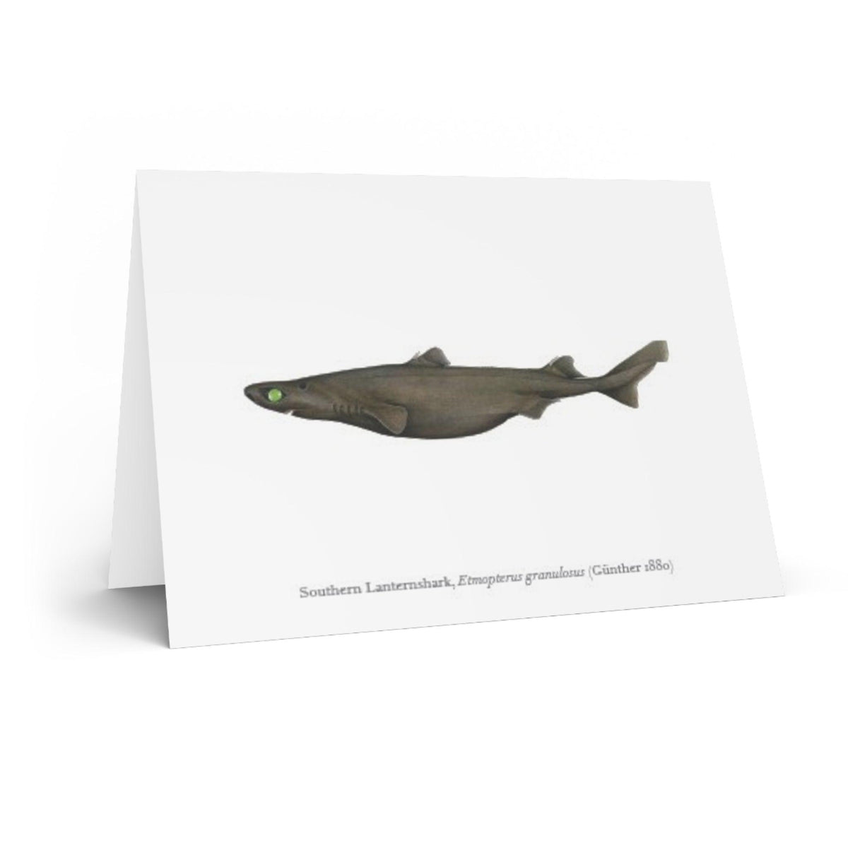 Southern Lanternshark Greeting Card – Stick Figure Fish Illustration
