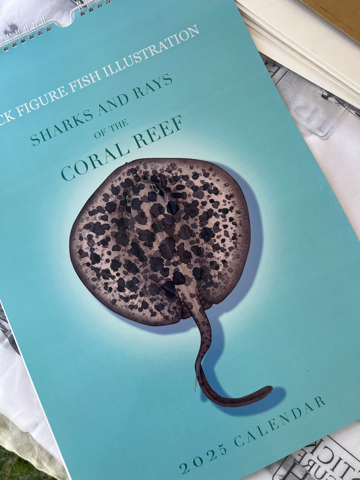 Stick Figure Fish 2025 Limited Edition Calendar - Sharks & Rays of the ...