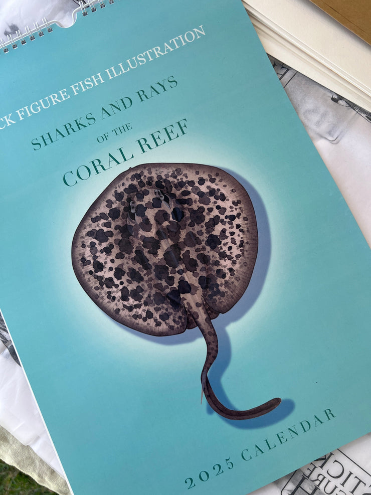 Stick Figure Fish 2025 Limited Edition Calendar - Sharks & Rays of the ...