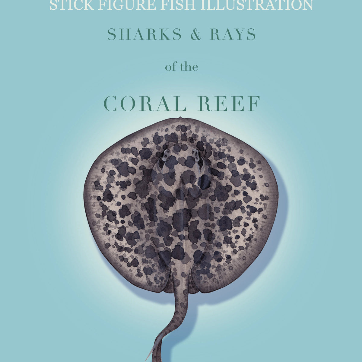 Stick Figure Fish 2025 Limited Edition Calendar - Sharks & Rays of the ...