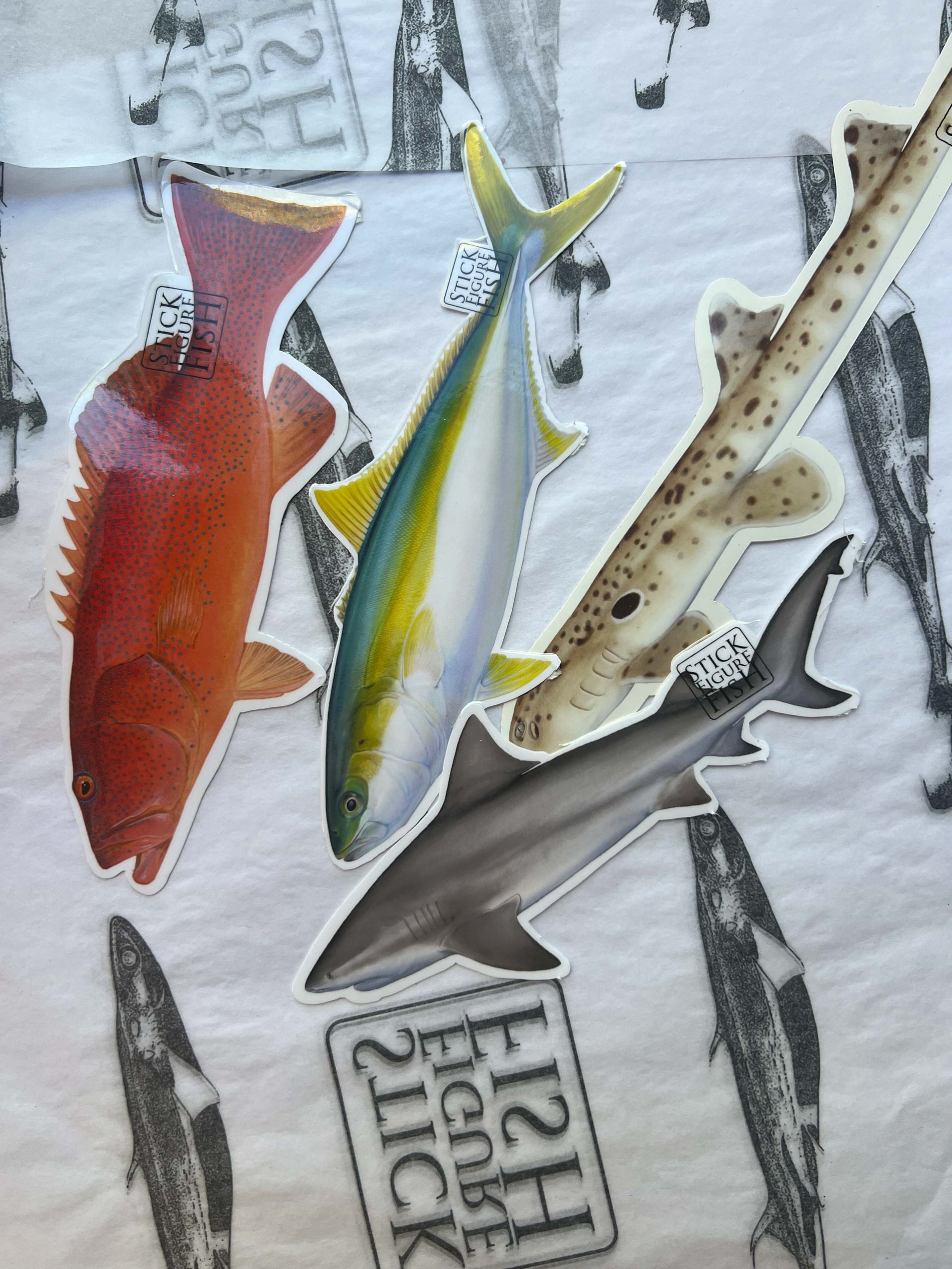 Stick Figure Fish Ilustration – Stick Figure Fish Illustration