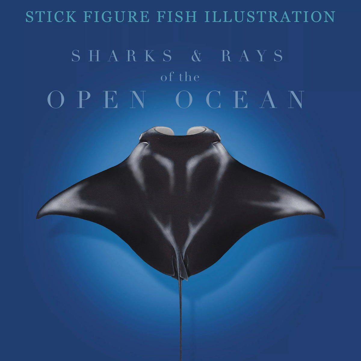 Stick Figure Fish 2024 Limited Edition Calendar - Sharks & Rays of the ...